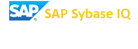ODBC Driver for SAP Sybase IQ - DataDirect Connectivity
