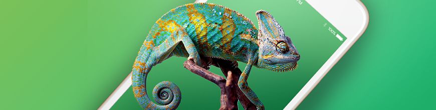Top 4 Initiatives To Digitally Transform Your Business