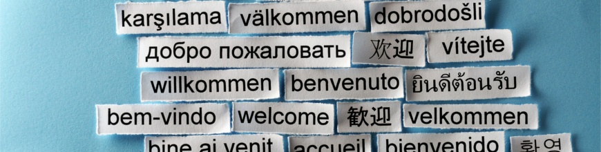 Rollbase 43 The First No Code Platform For Rtl Languages