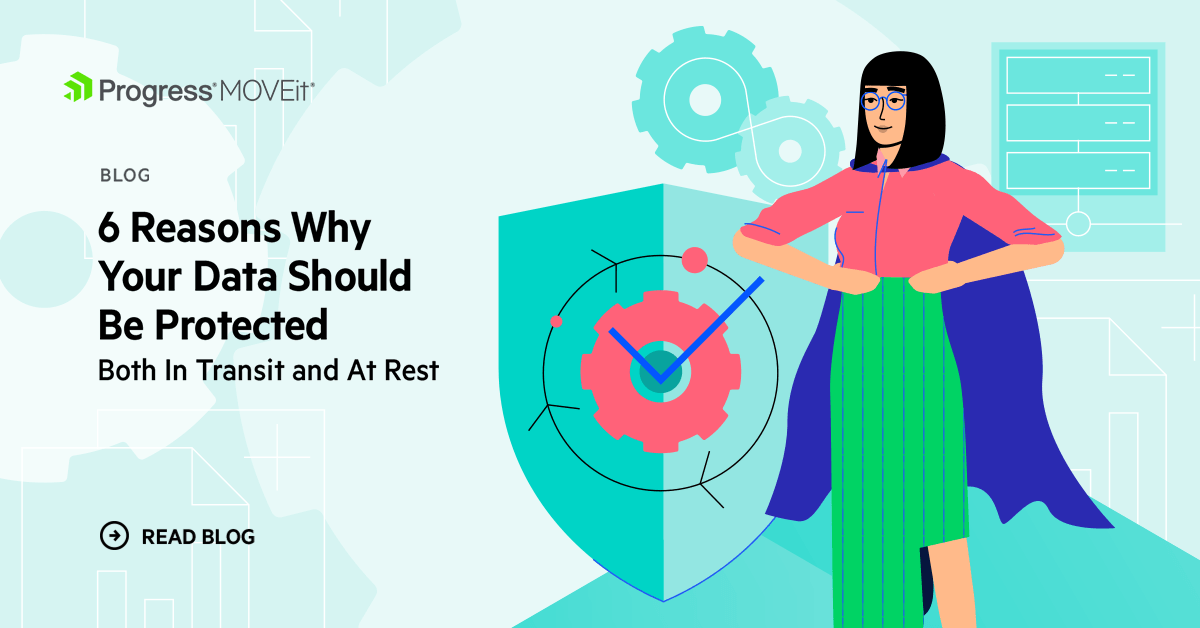 Why Your Data Should Be Protected Both In Transit and At Rest