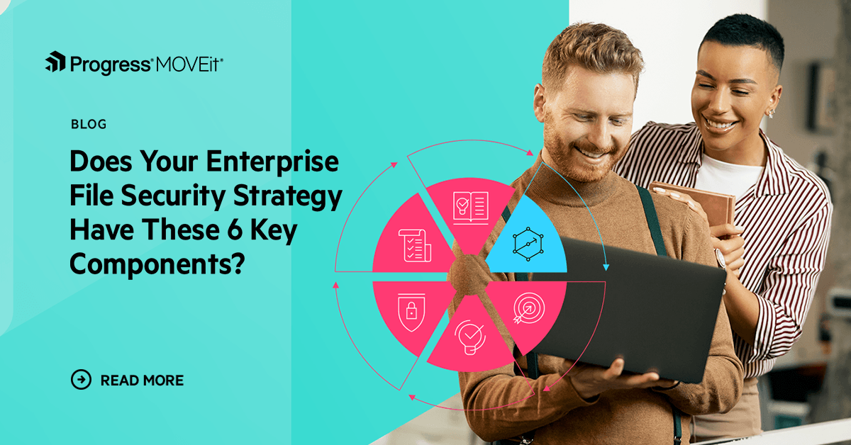 The 6 Key Components Of Enterprise File Security Strategy