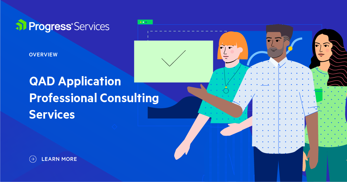 QAD Application, Professional Consulting Services