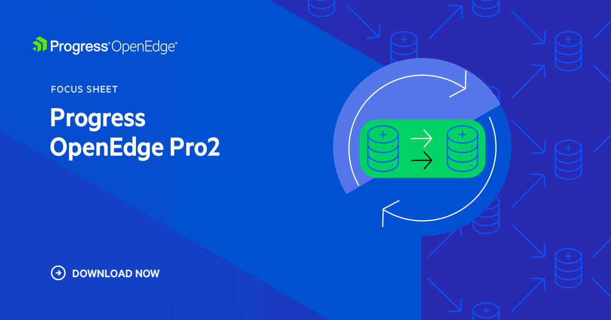 OpenEdge Pro2 Focus Sheet