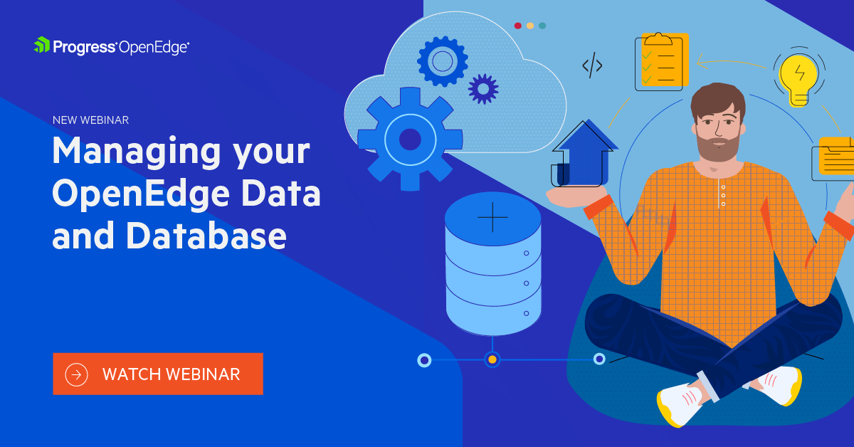Managing Your OpenEdge Data and Database | Progress OpenEdge