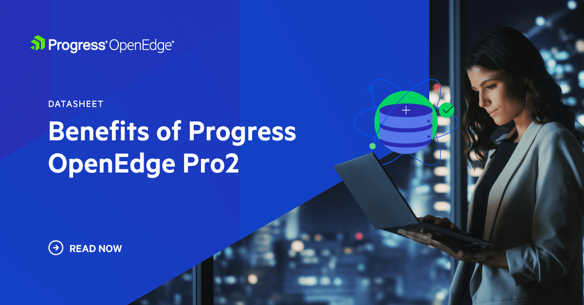 Progress OpenEdge Pro2 | Datasheet