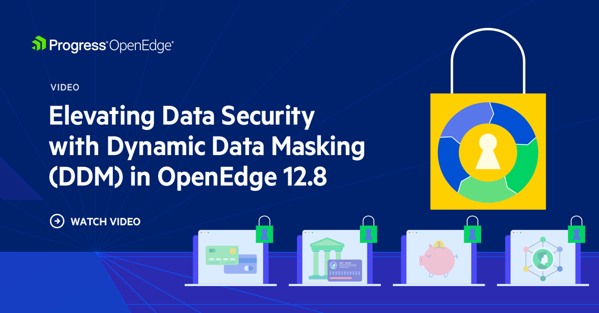 Elevating Data Security with Dynamic Data Masking (DDM) in OpenEdge 12. ...