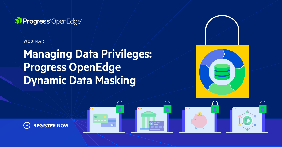 Managing Data Privileges - Progress OpenEdge Dynamic Data Masking