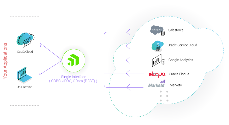 SaaS Customer Data Integration Through Standard SQL/REST APIs