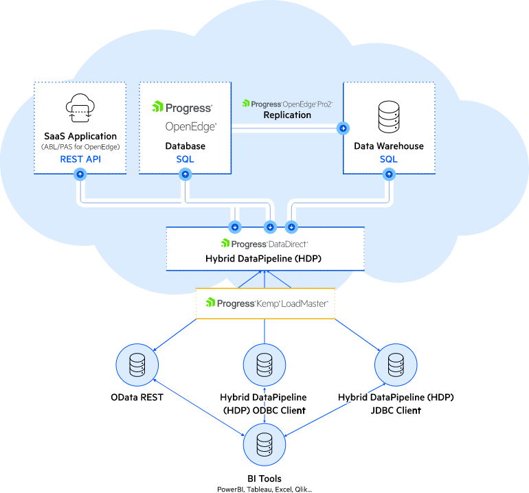 Openedge Applications And Data