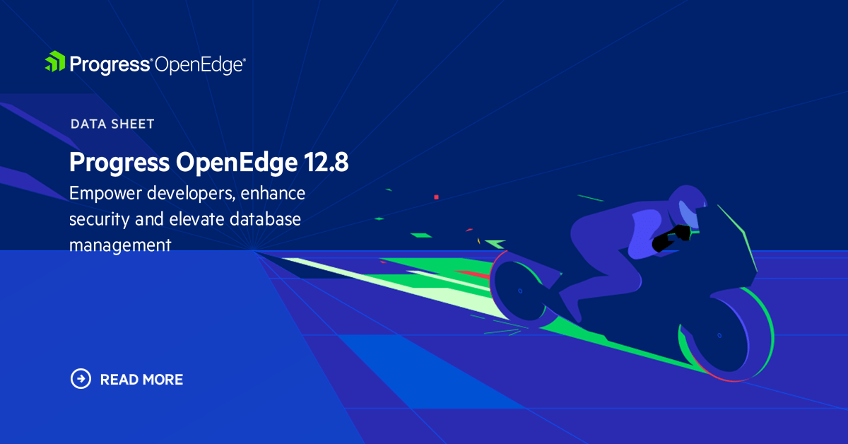 OpenEdge 12.8 Data Sheet