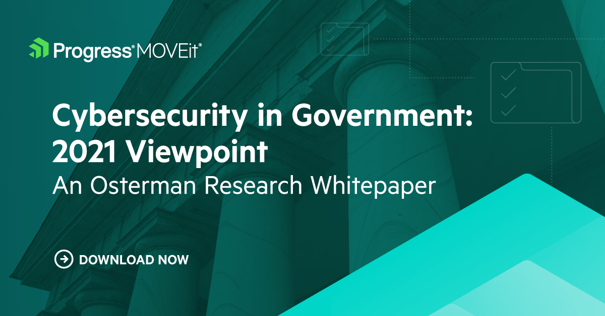 Cybersecurity in Government: Viewpoint 2021