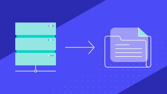 WS_FTP - Secure FTP Server and Client Software