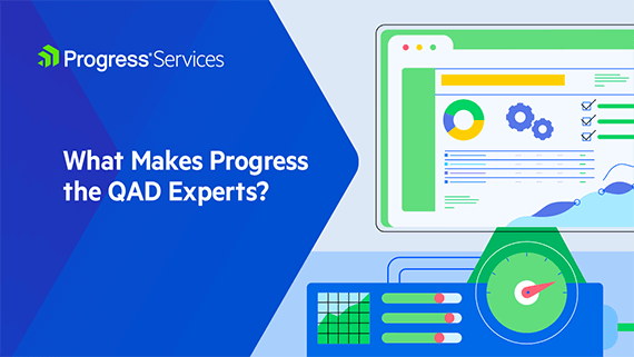 What Makes Progress the QAD Experts? - Videos - Progress