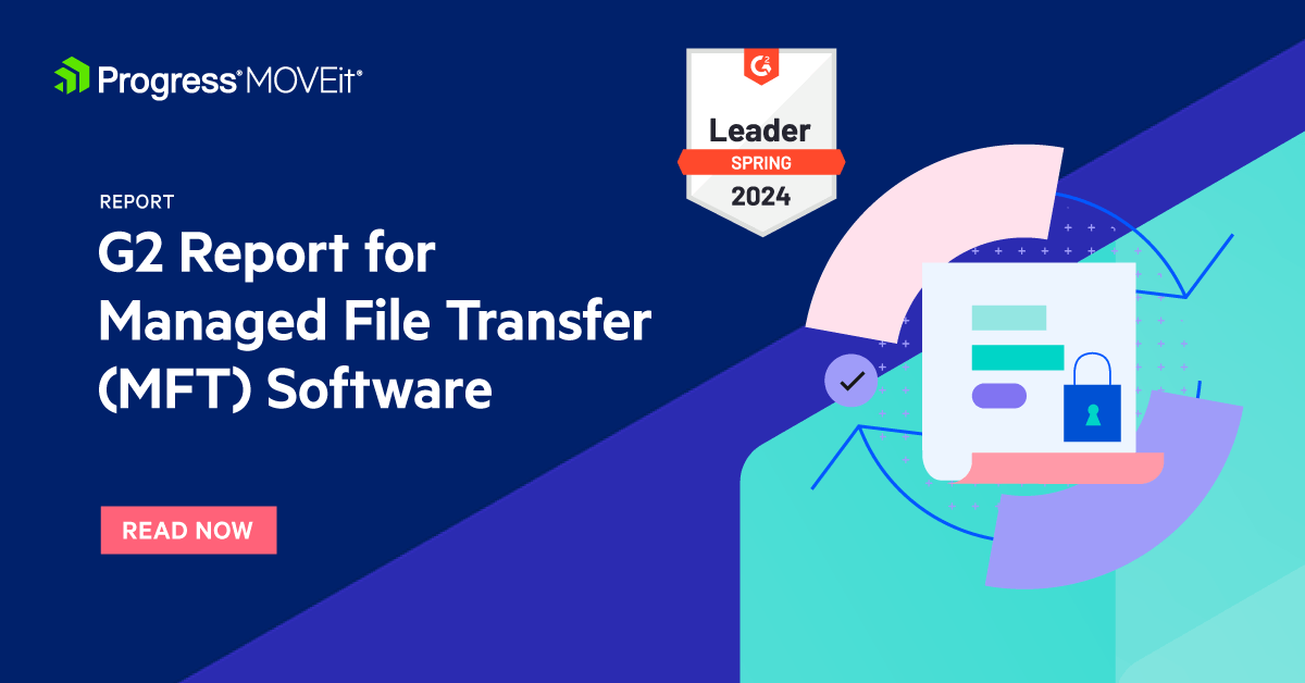 Progress MOVEit G2 Grid Report for Managed File Transfer Software