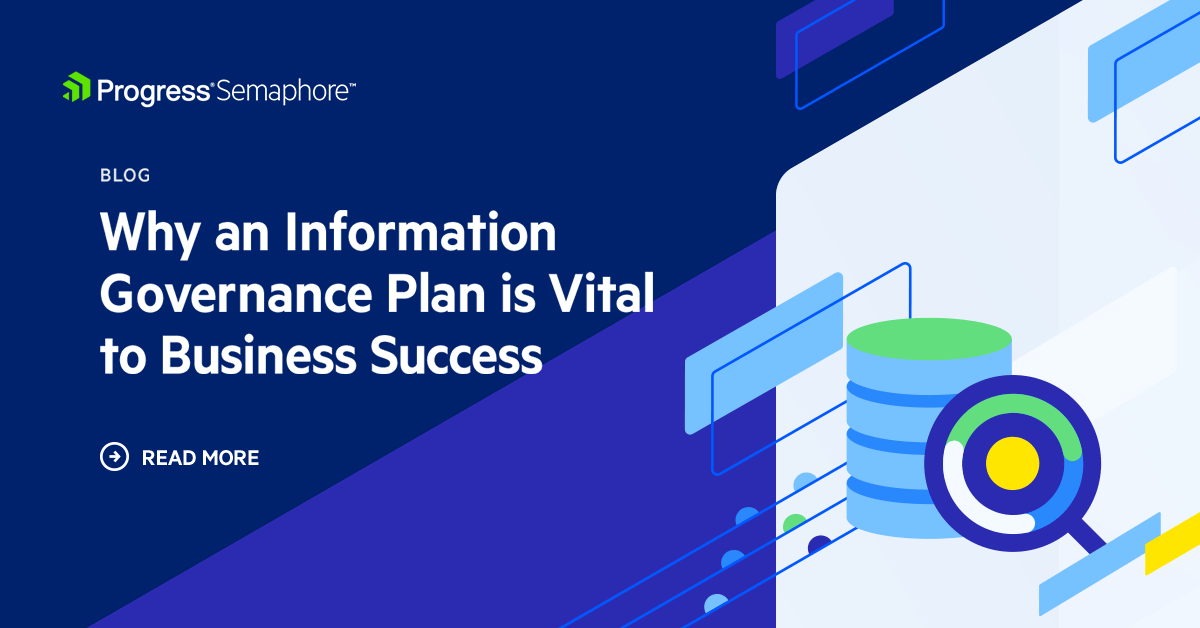 What Is Information Governance? Principles, Benefits and Examples